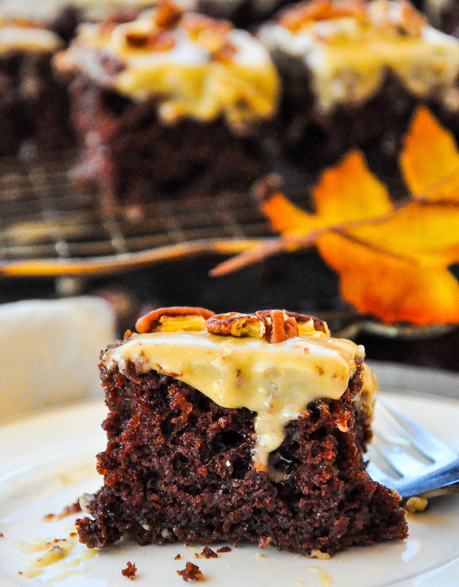 Chocolate Pecan Cake (eggless) - Honey, Whats Cooking