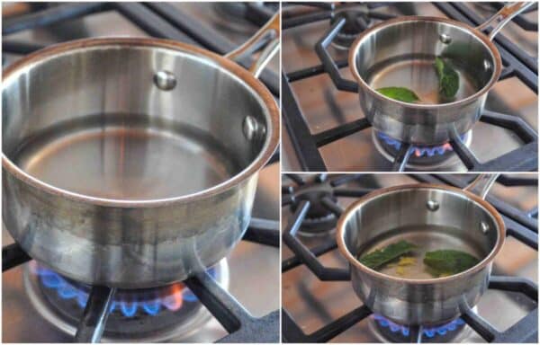 Mint Tea (Pudhina Chai) - Honey, Whats Cooking